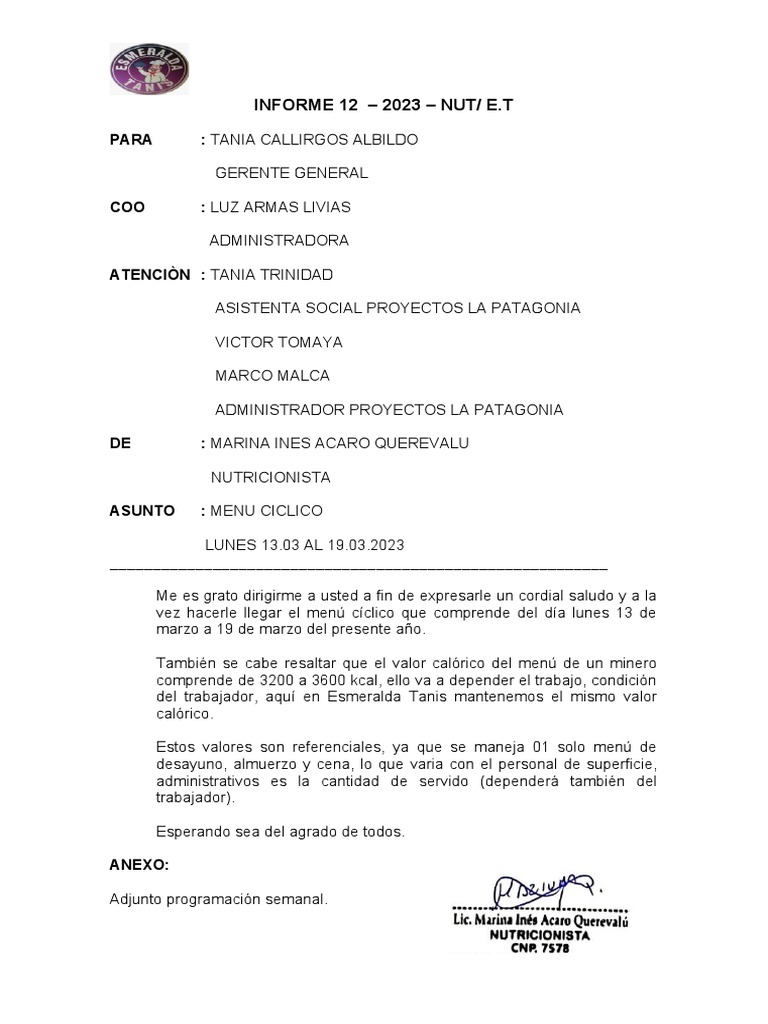 Informe 12 Programacion E.T - 041012 | PDF