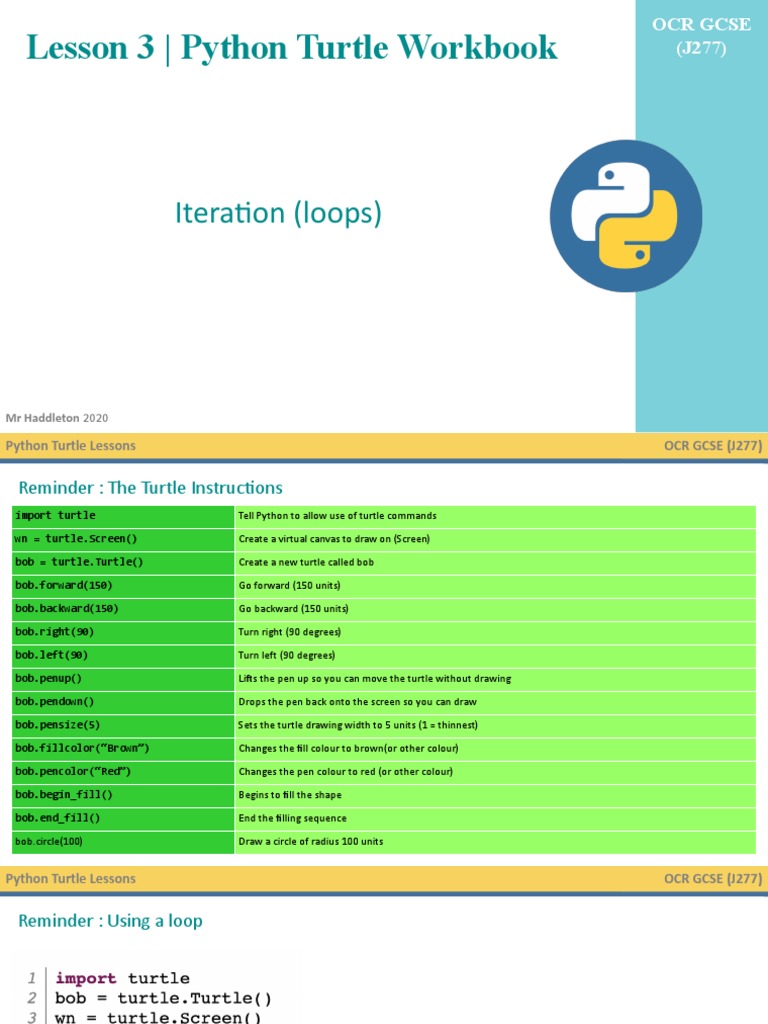 Python Turtle Lesson 3_workbook1 | PDF | Computing | Computer Programming