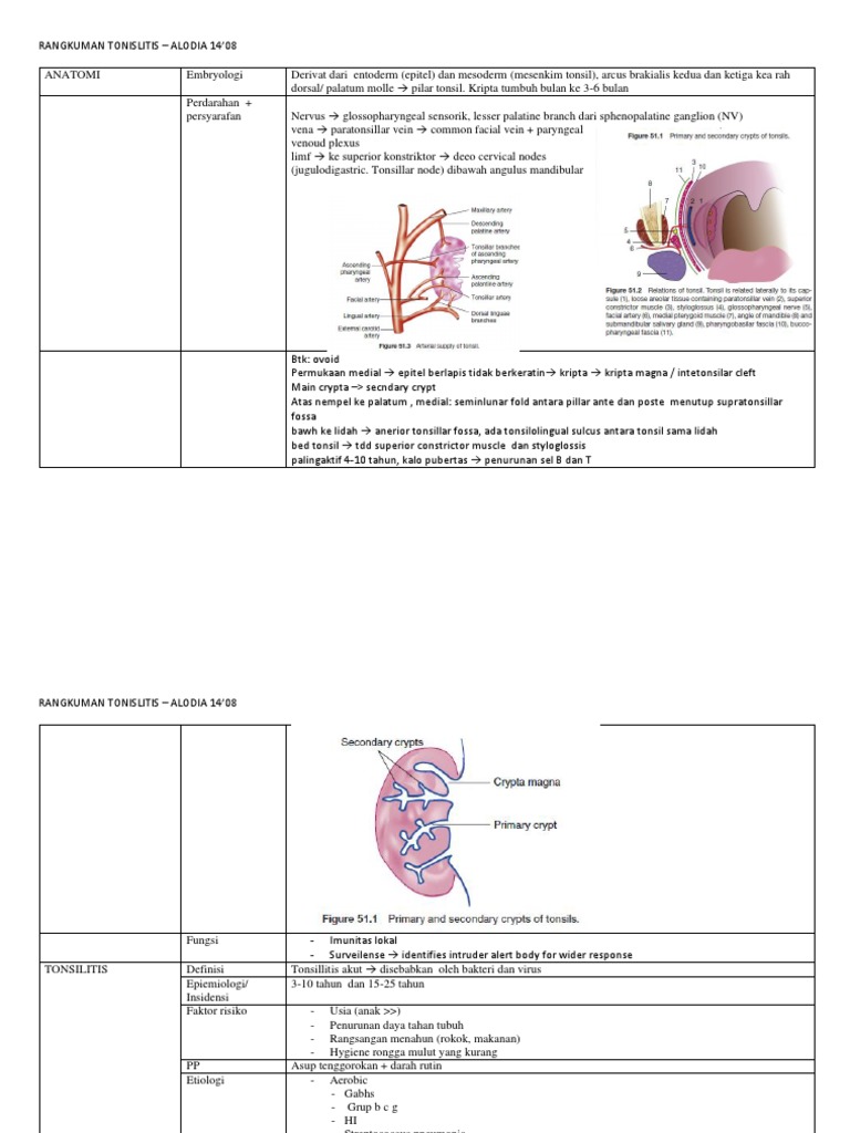 Rangkuman - Tonsilitis | PDF