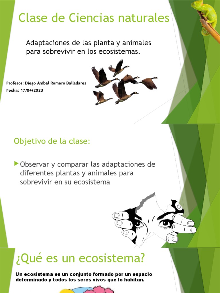 Ciencias Adaptacion Plantas y Animales | PDF