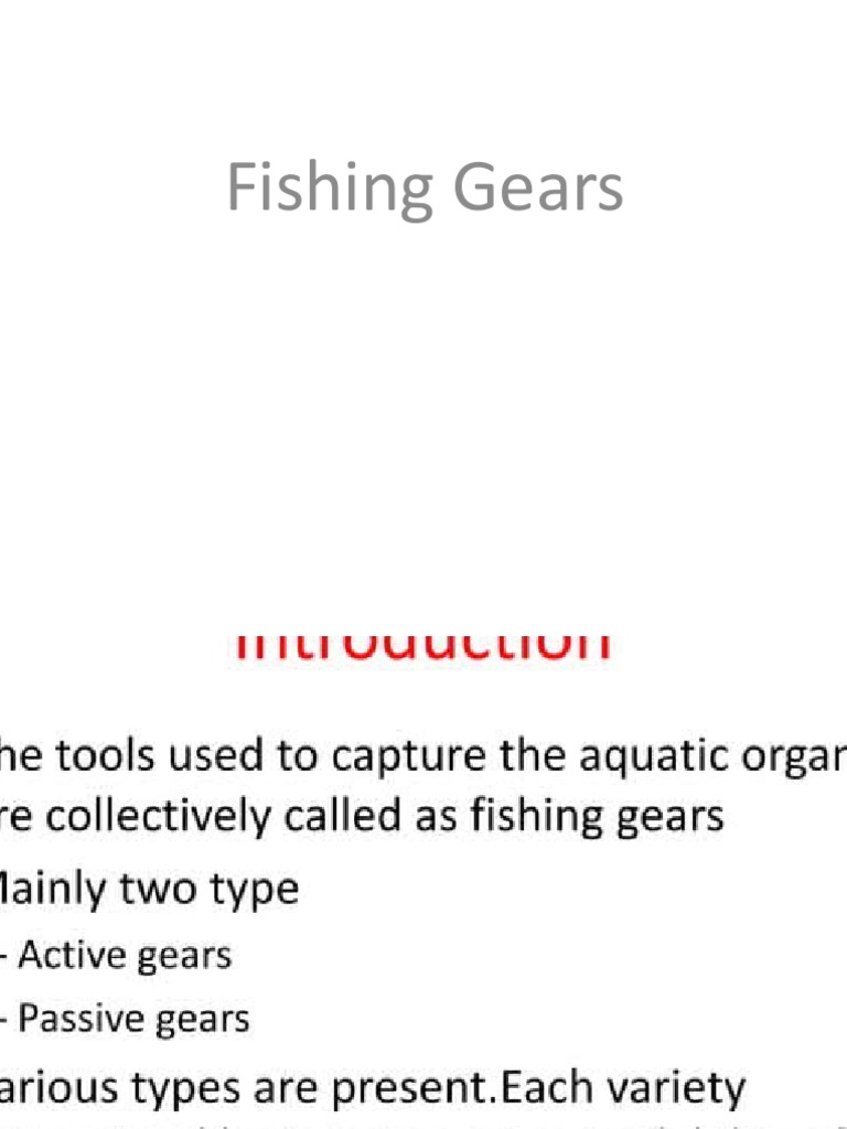 Fishing Gear | PDF