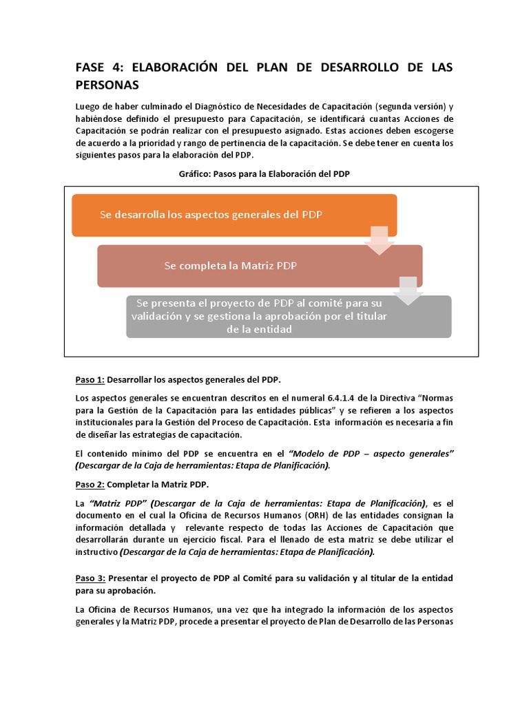 Pautas para La Elaboración Del PDP. | PDF