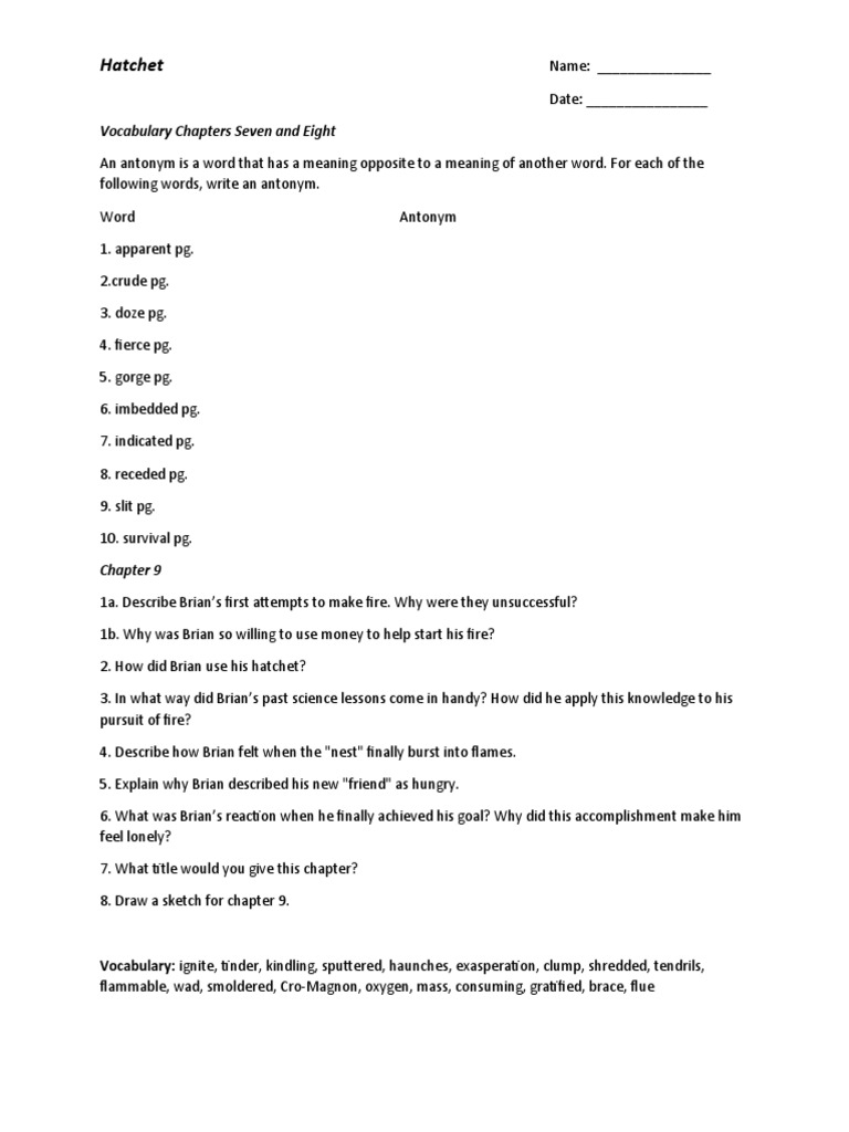 Hatchet Chapter 9 and 10 Questions | PDF | Fires