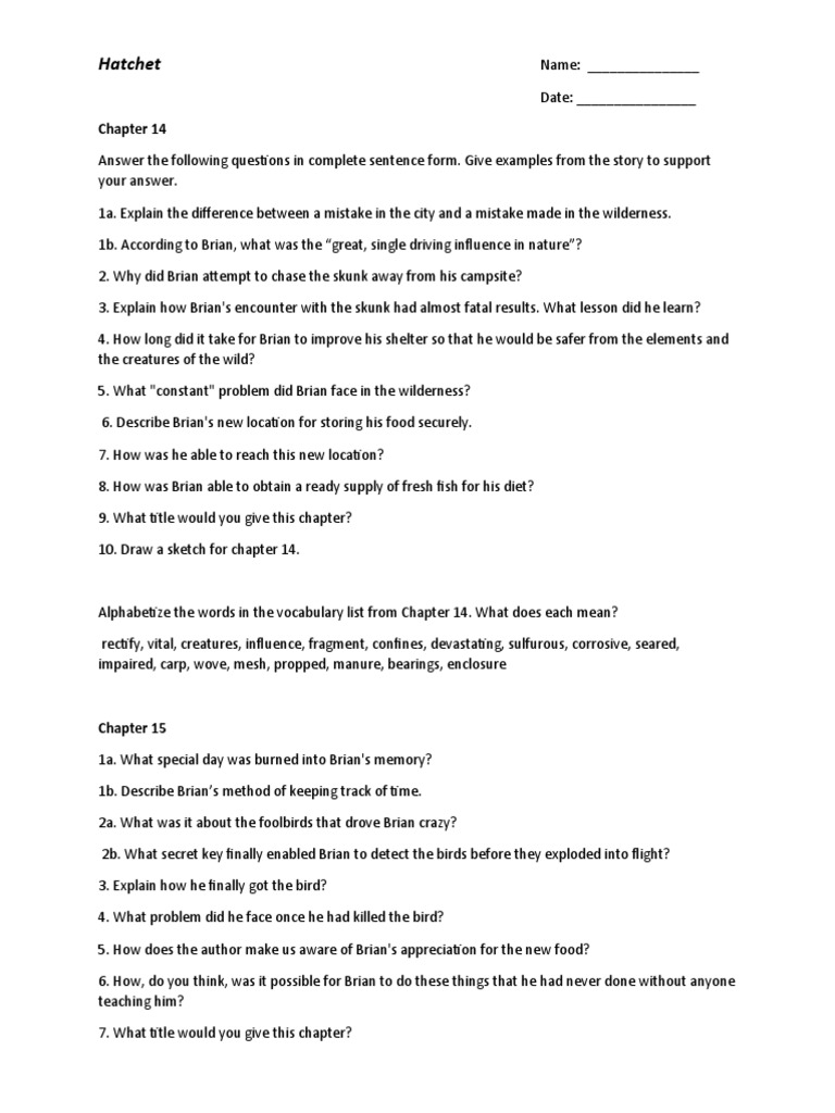 Hatchet CH 14 15 Questions | PDF