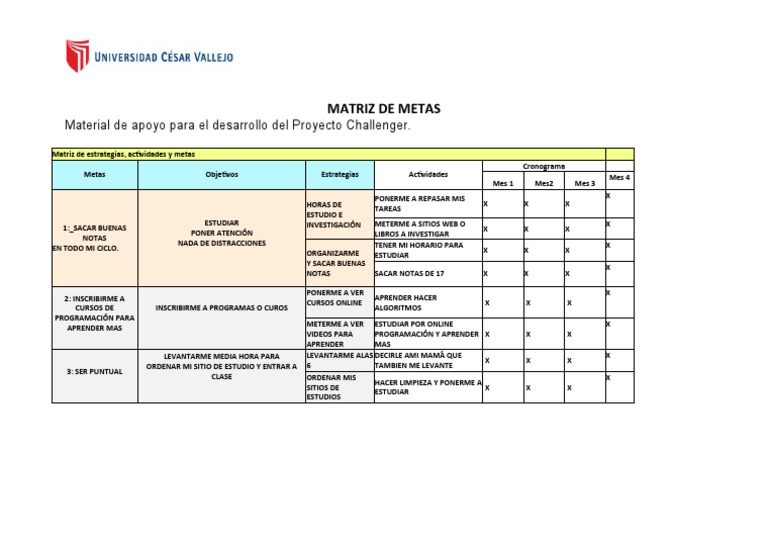 Matriz de Metas 13 Aquino | PDF