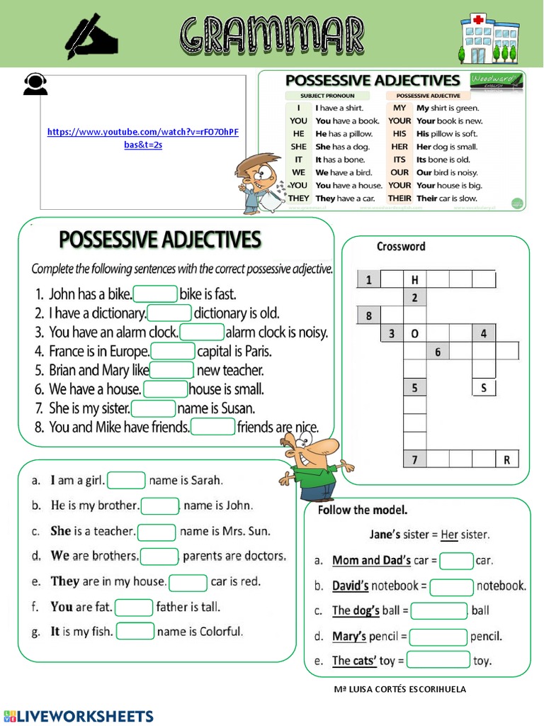 Possessive Pronouns Worksheet | PDF