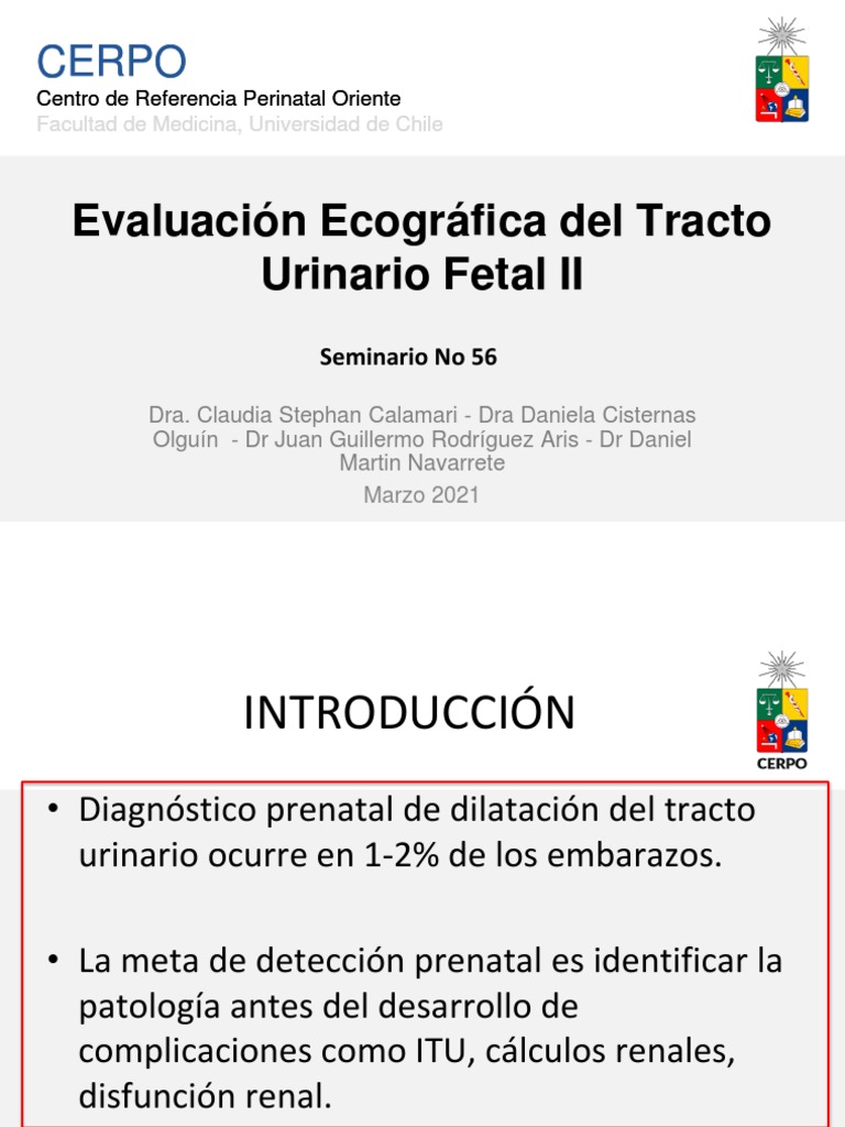 Seminario 56 Evaluacion Ecografica Tracto Urinario Fetal II - Archivo | PDF | Morfología ...