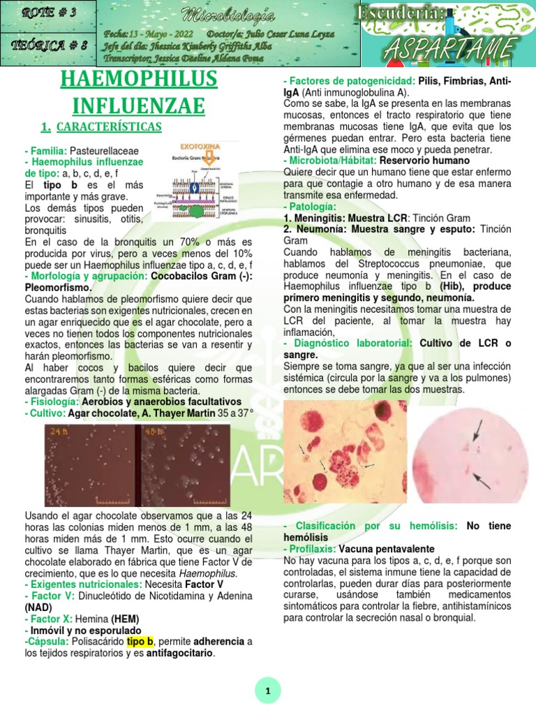 Haemophilus Influenzae: 1. Características | PDF | Meningitis | Inmunología