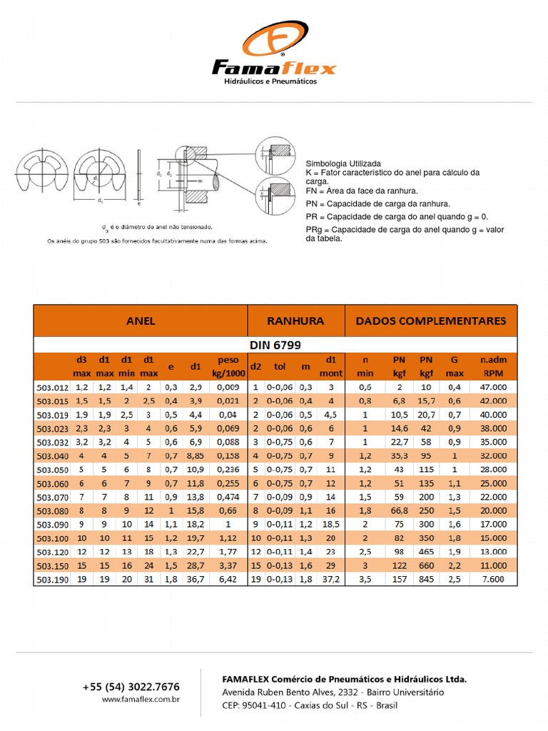 Anel Elastico Din 6799 - Famaflex - 3 | PDF