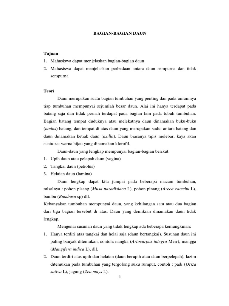 Modul-Praktikum-Botani-Farmasi | PDF