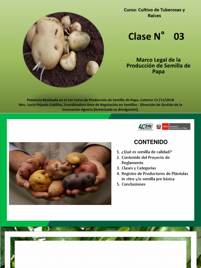 Clase #03 Marco Legal de La Produccion de Semilla de Papa. | PDF | Patata | Semilla