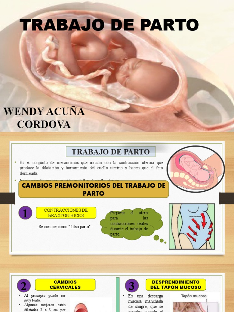 Trabajo de Parto | PDF | Parto | Embarazo humano