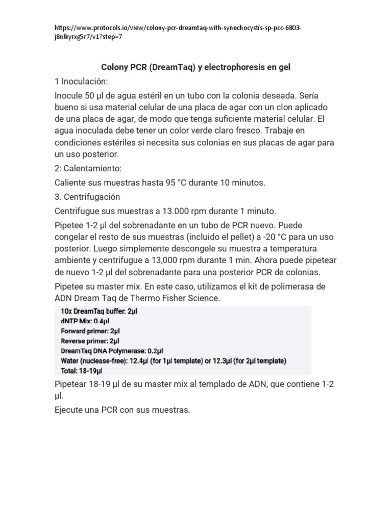 Colony PCR Protocol - Io | PDF