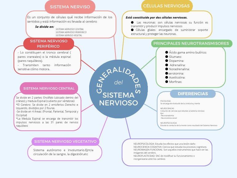 Generalidades Del Sistema Nervioso Mapa | PDF | Sistema nervioso | Cerebro