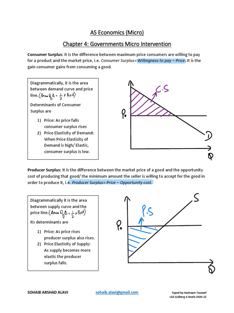 Producer Surplus and Subsidies Explained | PDF | Taxes | Economic Surplus
