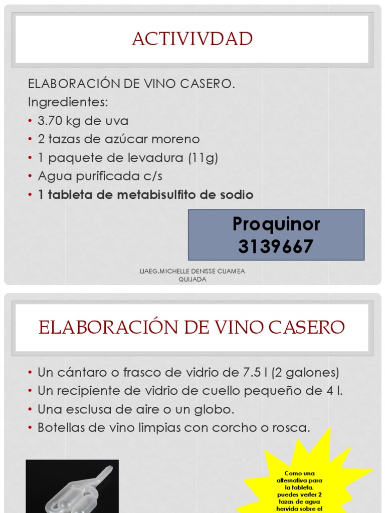 Elaboración de Vino Casero | PDF | Vino | Vinificación