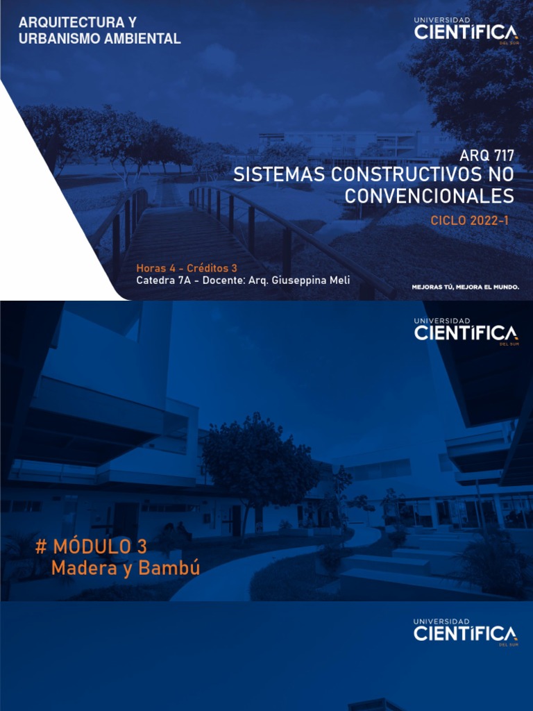 S5 - Construccion en Bambú 1 | PDF | Tallo de la planta | Madera