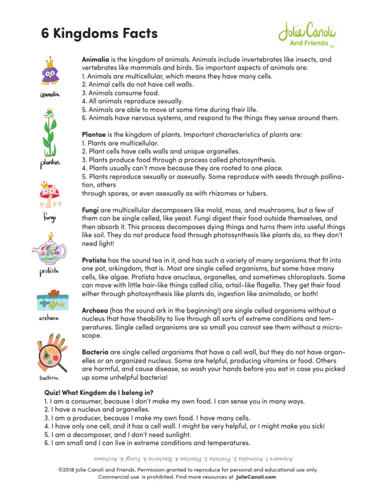 Classificationof Living Things Biology Kingdoms | PDF | Plants | Cell ...