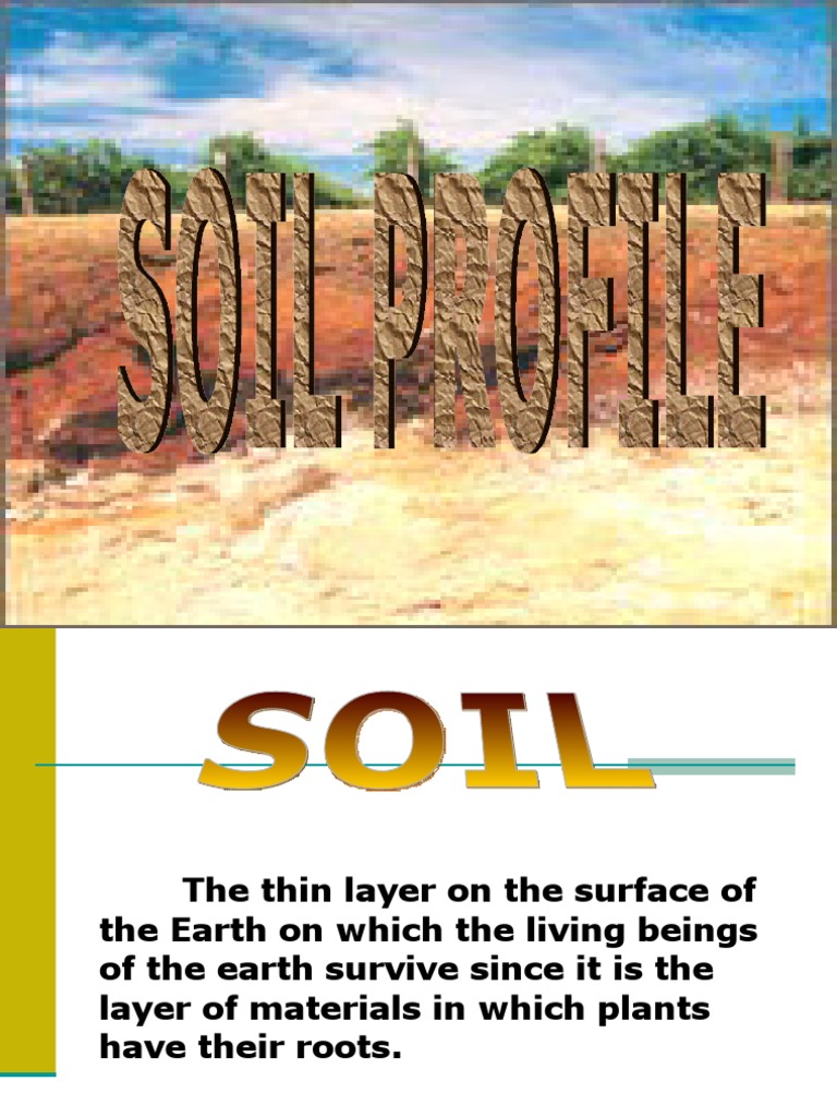 Soil Profile | PDF | Erosion | Soil