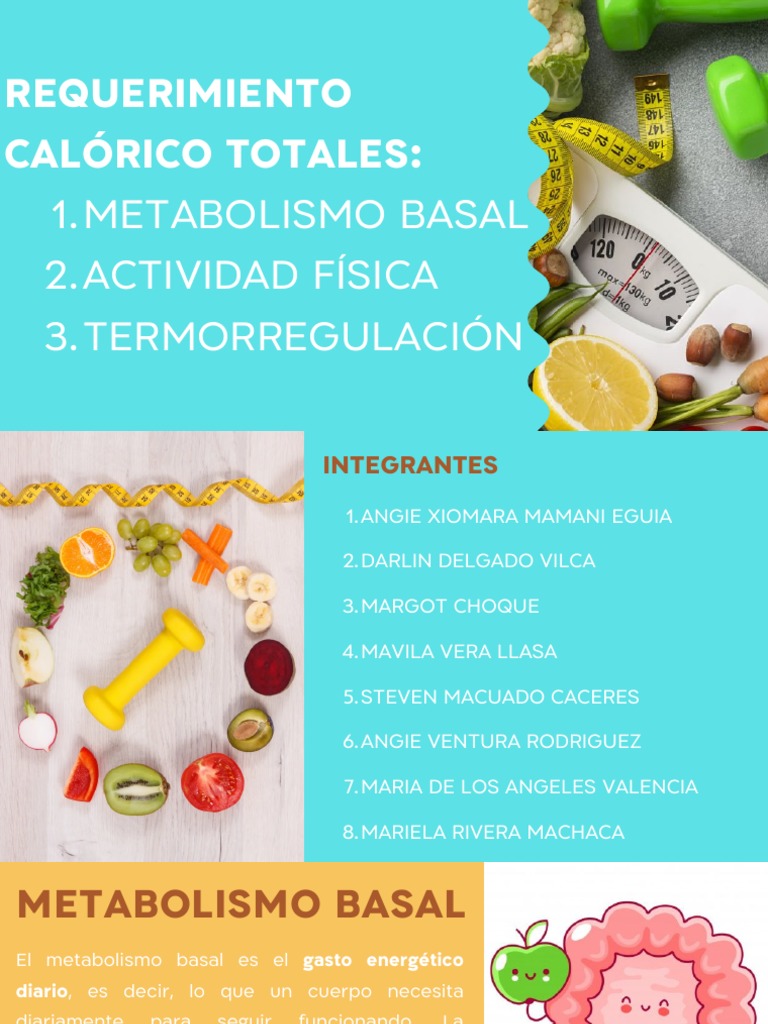 Requerimiento Calórico y Metabolismo | PDF | Termorregulación ...