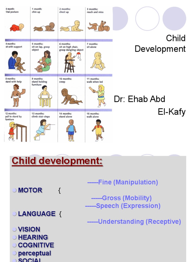 Gross and Fine Motor Development | PDF | Child Development | Fetus
