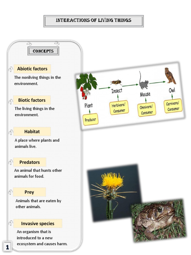 Interactions in Ecosystems: Biotic & Abiotic | PDF | Ecosystem ...