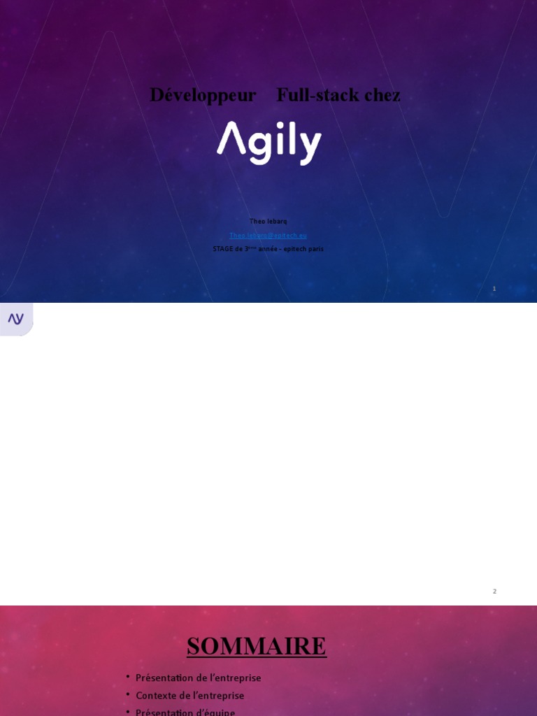 Rapport de stage Epitech : Theo Martin | PDF | Informatique | Logiciel