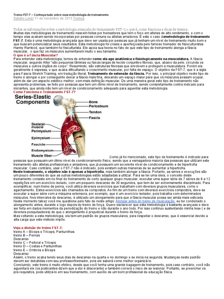 Treino FST-7 - Conheça Tudo Sobre Essa Metodologia de Treinamento | PDF ...
