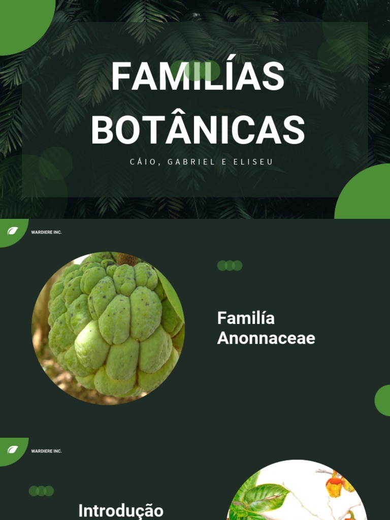 Famílias Botânicas | PDF