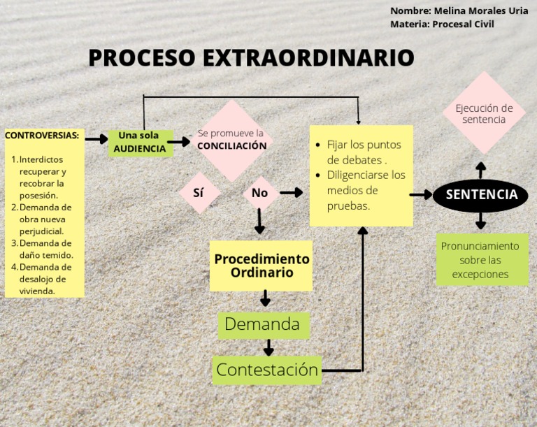 Proceso Extraordinario | PDF
