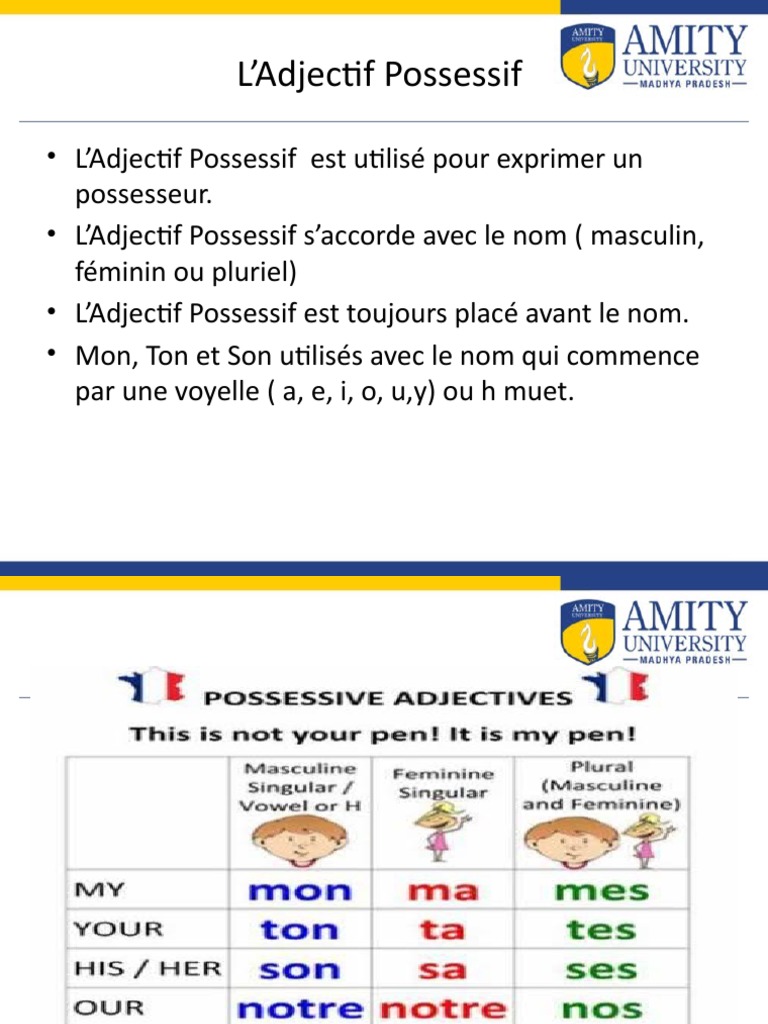 Adjectif Possessif Exemple | Les Adjectifs Possessifs Erklärt – Limmerkoll