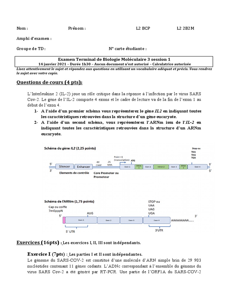 Biomol CT 2021 Correction | PDF | Gène | Protéines