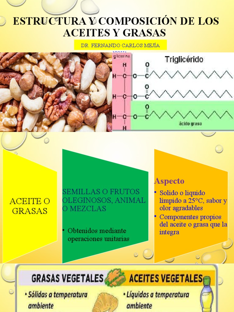 Estructura y Composición de Los Aceites y Grasas | PDF | Glicerol | gordo