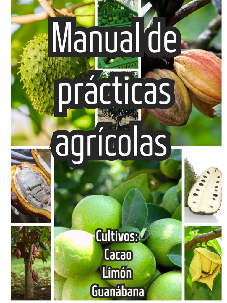 Manual de Prácticas Agrícolas Del Cultivo de Guanábana (Annona Muricata L.) | PDF | Semilla ...