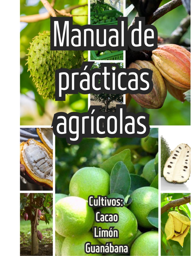 Manual de Prácticas Agrícolas Del Cultivo de Cacao (Theobroma Cacao L.) | Descargar gratis PDF ...