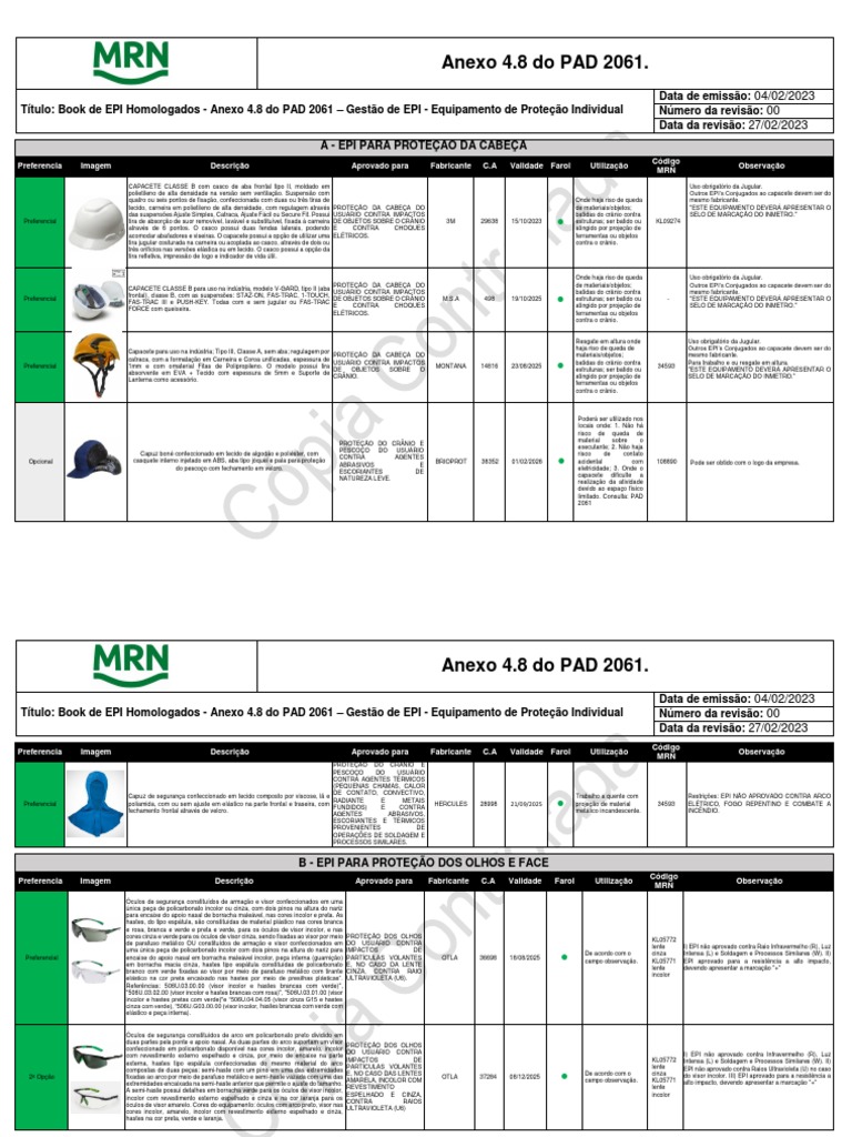 Anexo 4.8-Book de EPI Homologados - 2023 | PDF | Capacete | Cor