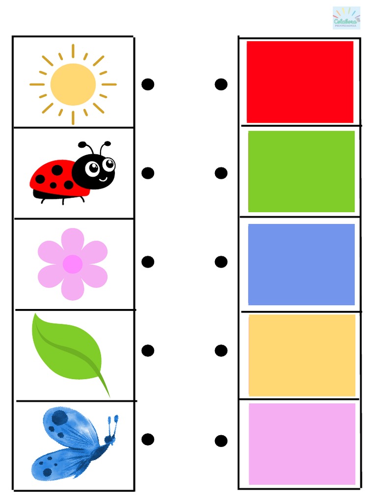 Ligue A Figura A Sua Cor | PDF