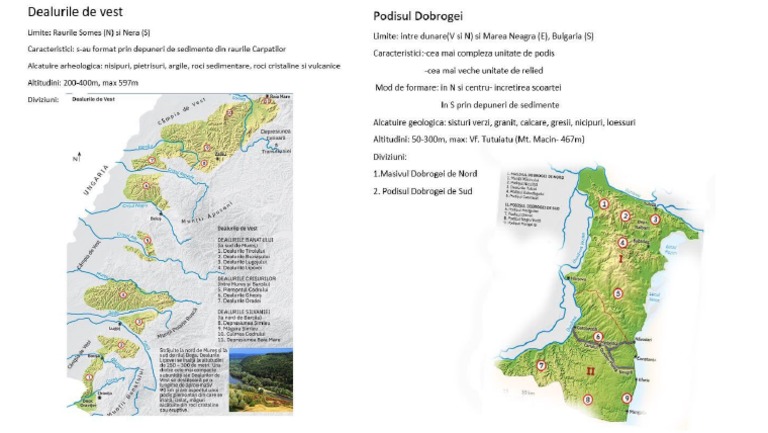 Lectie Clasa A8-A Dealurile de Vest Si Podisul Dobrogei | PDF