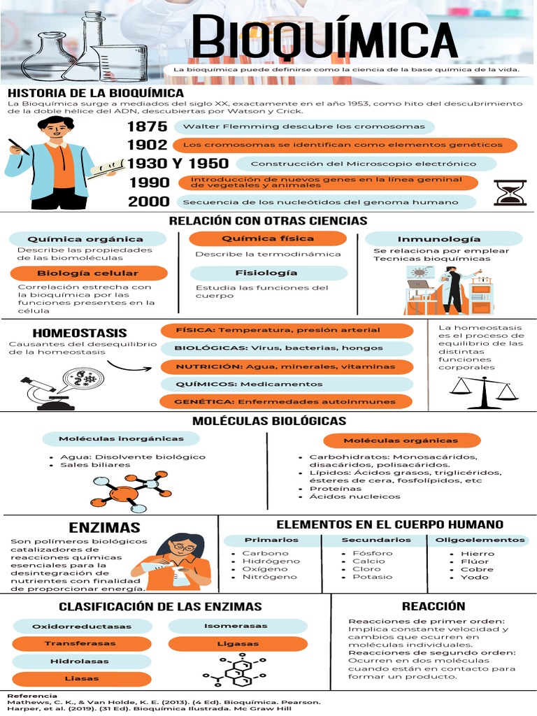 Infografia | PDF | Bioquímica | Química