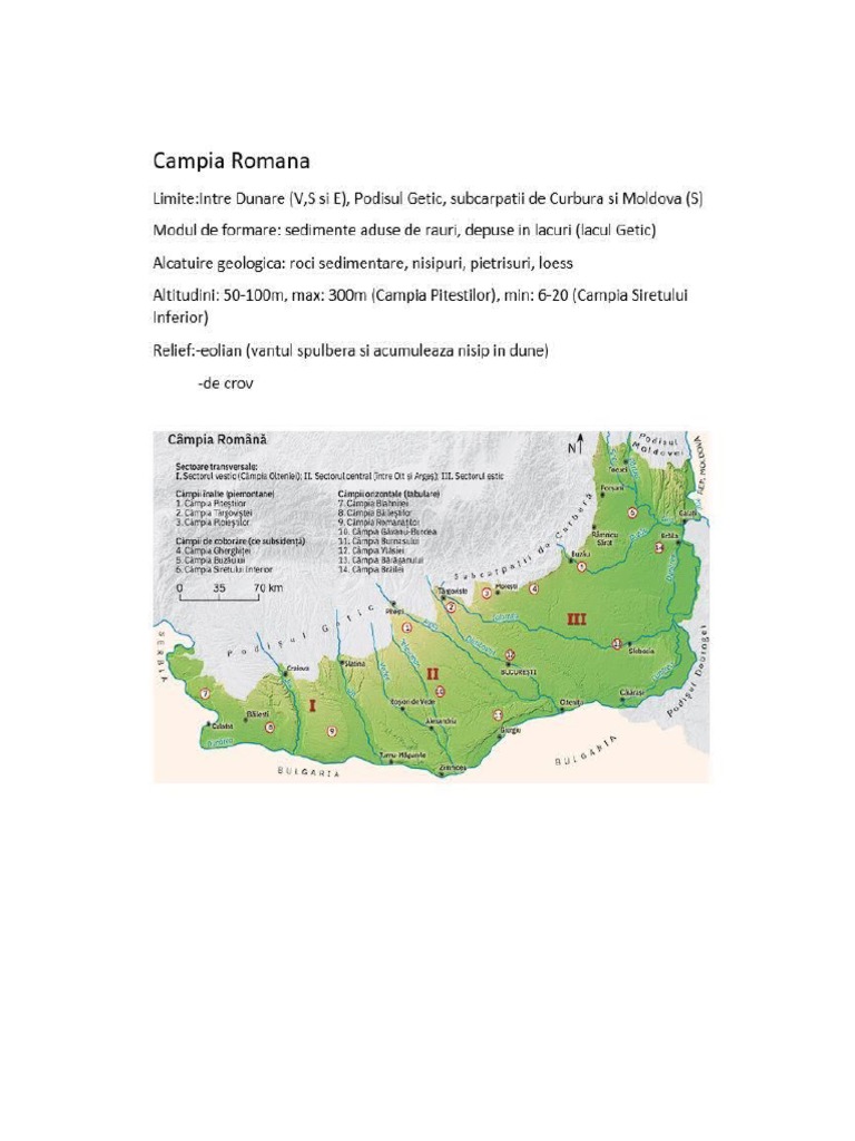 Campia Romana Lectie Clasa A 8a | PDF