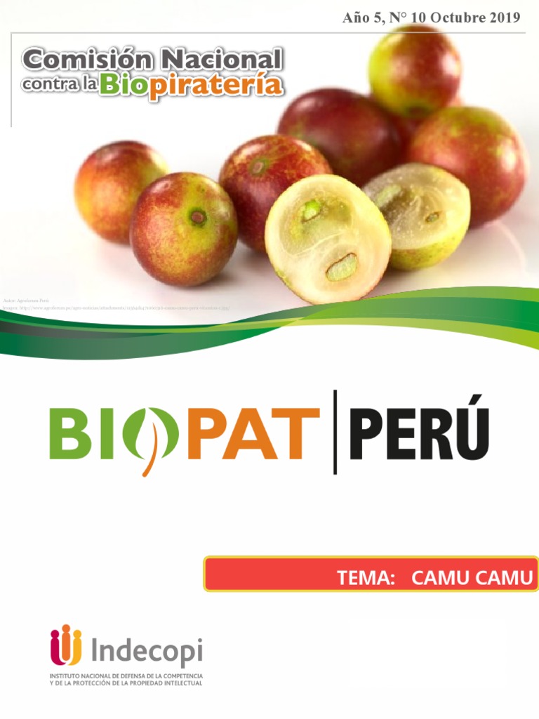 Camu Camu: Composición y Usos | PDF