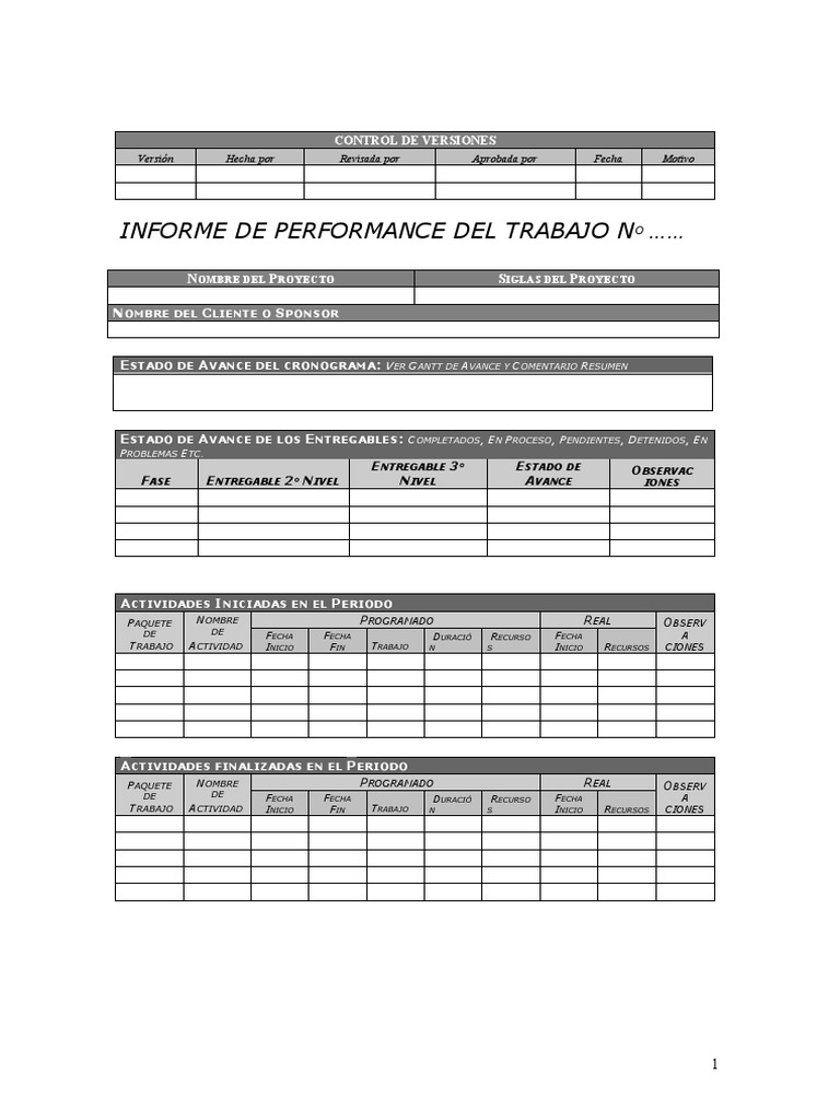 Form3-Informe de Performance Del Trabajo | PDF | Informática | Business
