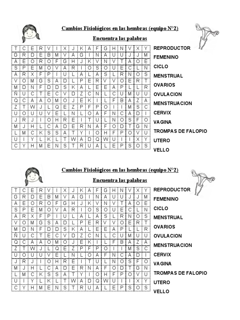 Sopa de Letras Sistema Reproductivo Femenino | PDF