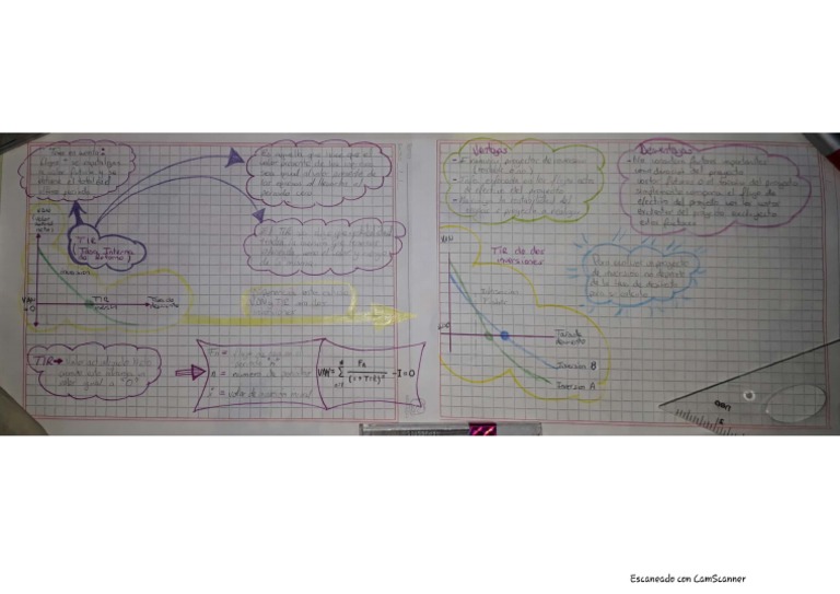 Mapa Mental TIR | PDF