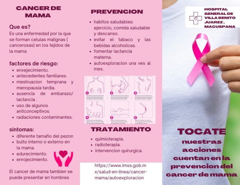 Folleto Cancer de Mama | PDF