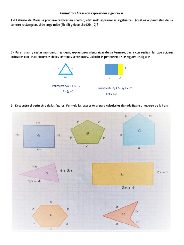 Ejercicios de área y perímetro algebraicos | PDF