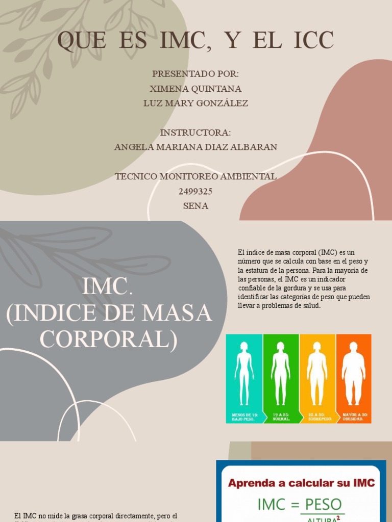 Biofisica-Que Es Imc, y El Icc | PDF | Índice de masa corporal | Obesidad