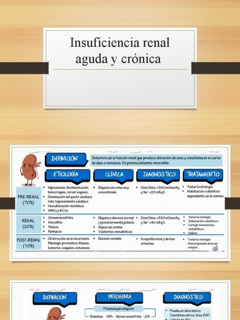 Insuficiencia Renal Aguda y Crónica | PDF