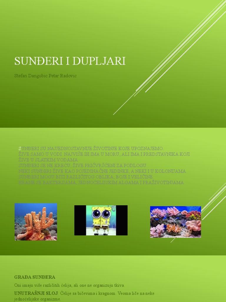 Sundjeri I Dupljari | PDF