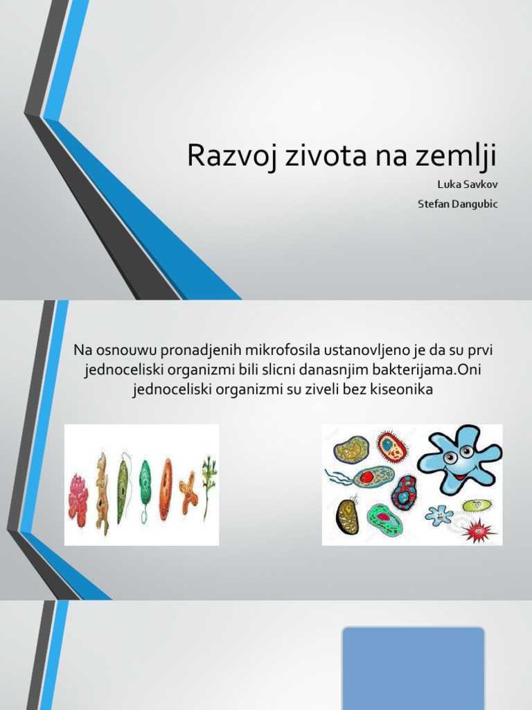 Razvoj Zivota Na Zemlji | PDF